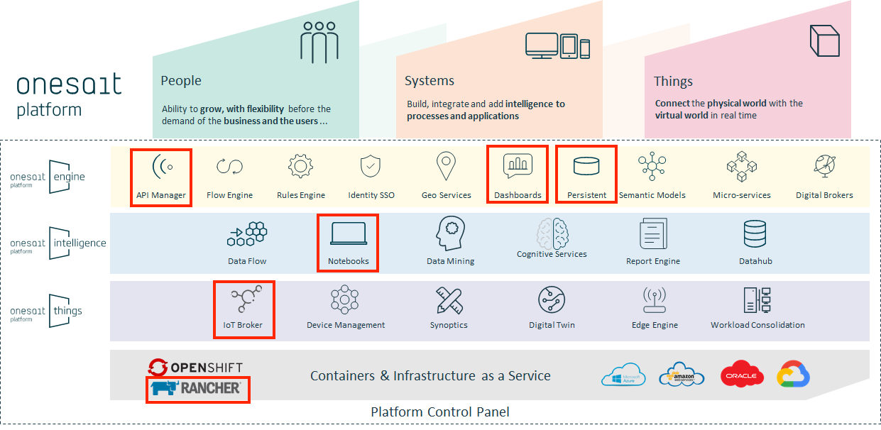 (DEM) Advanced Platform CaaS Monitoring with Prometheus and Grafana ...